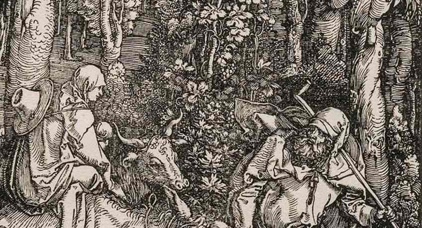 Dürer Revolutionary Engraving Techniques | Albrecht Dürer Engravings